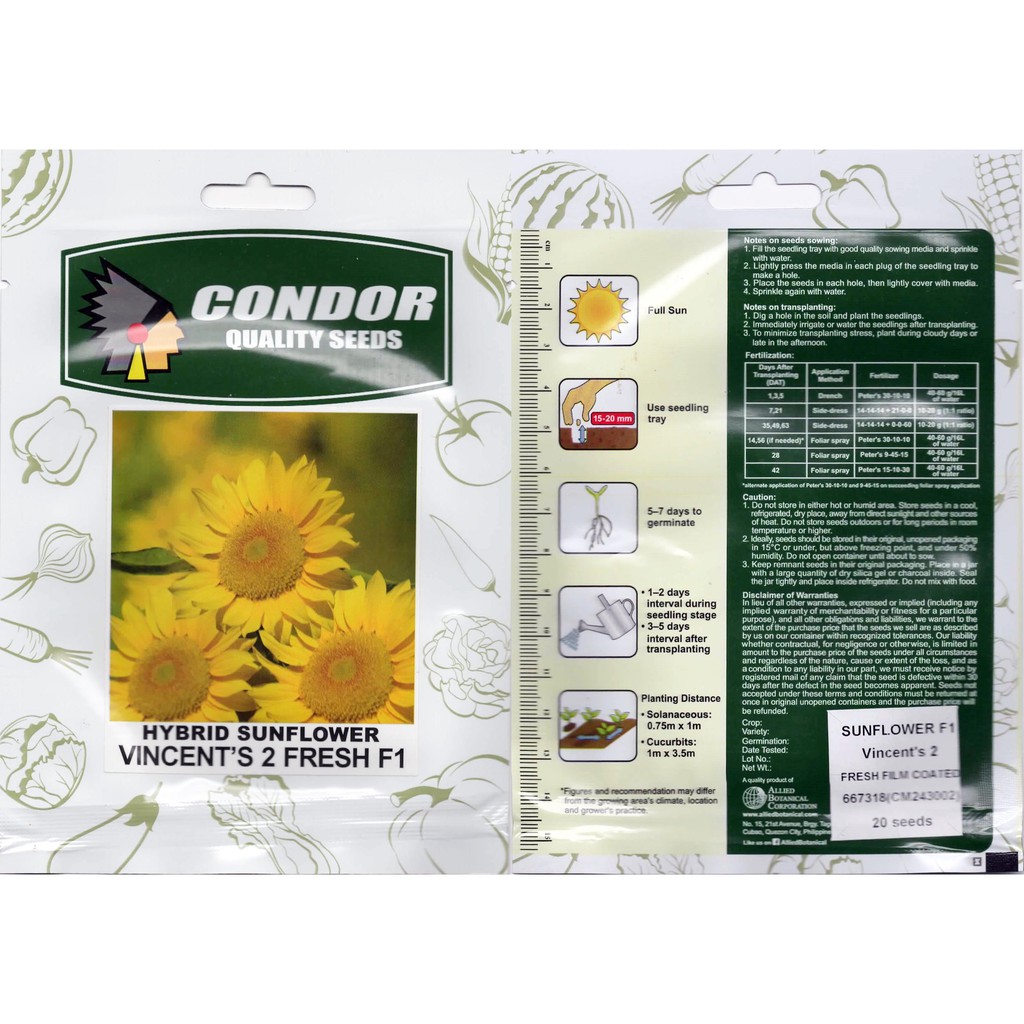 Condor Flower Seeds Sunflower Variety ( Vincent's, Choice F1) 20 Seeds ...