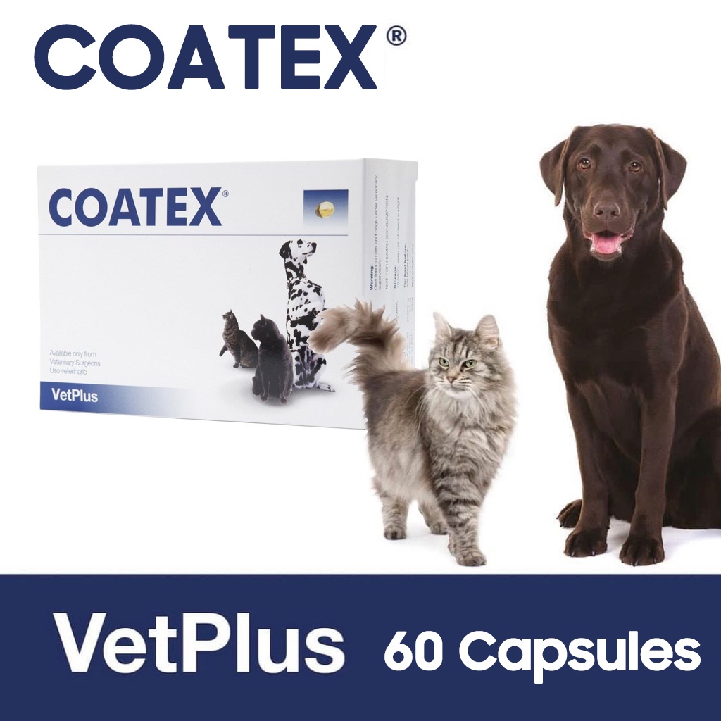 VetPlus Coatex Softgels 1box of 60 Capsules for dogs and cats | Shopee ...