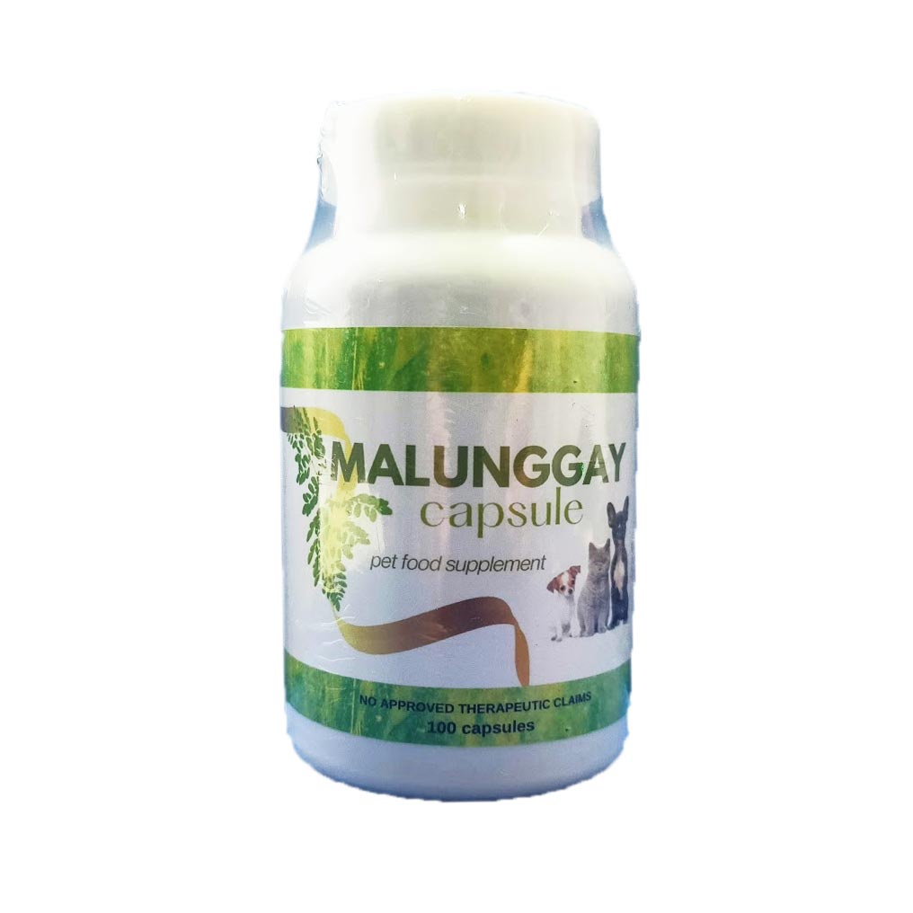 10 Capsules 500mg Malunggay Capsule Moringa Capsule for Pet Food ...