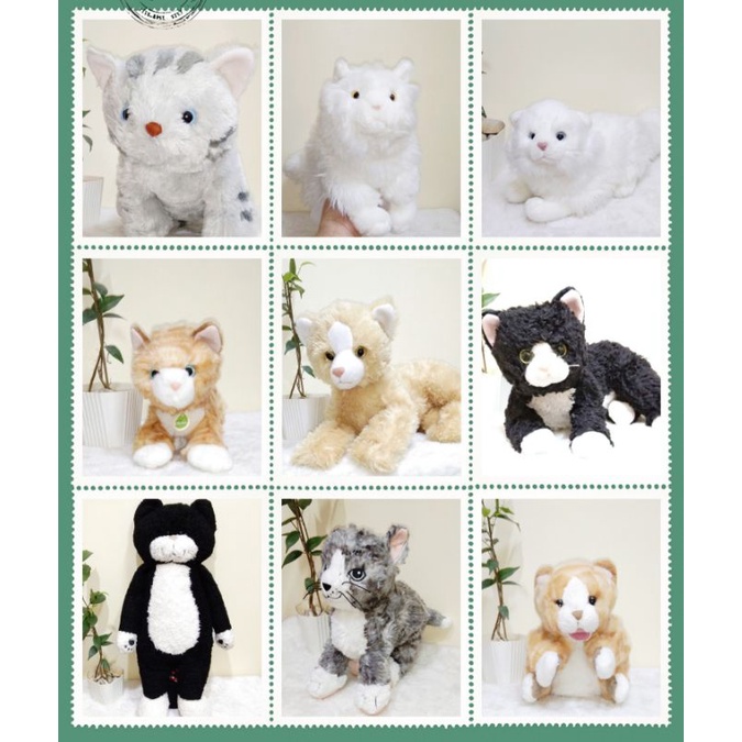 Cat Quality Plush Toys SML | Shopee Philippines