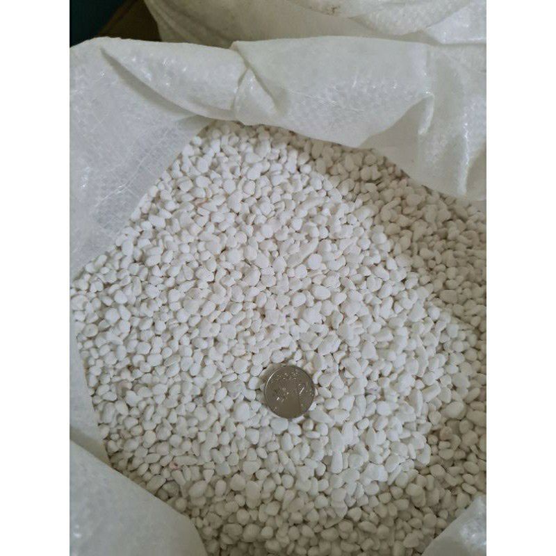 White marble stone/pebbles stone/aquarium stone(1kg) | Shopee Philippines