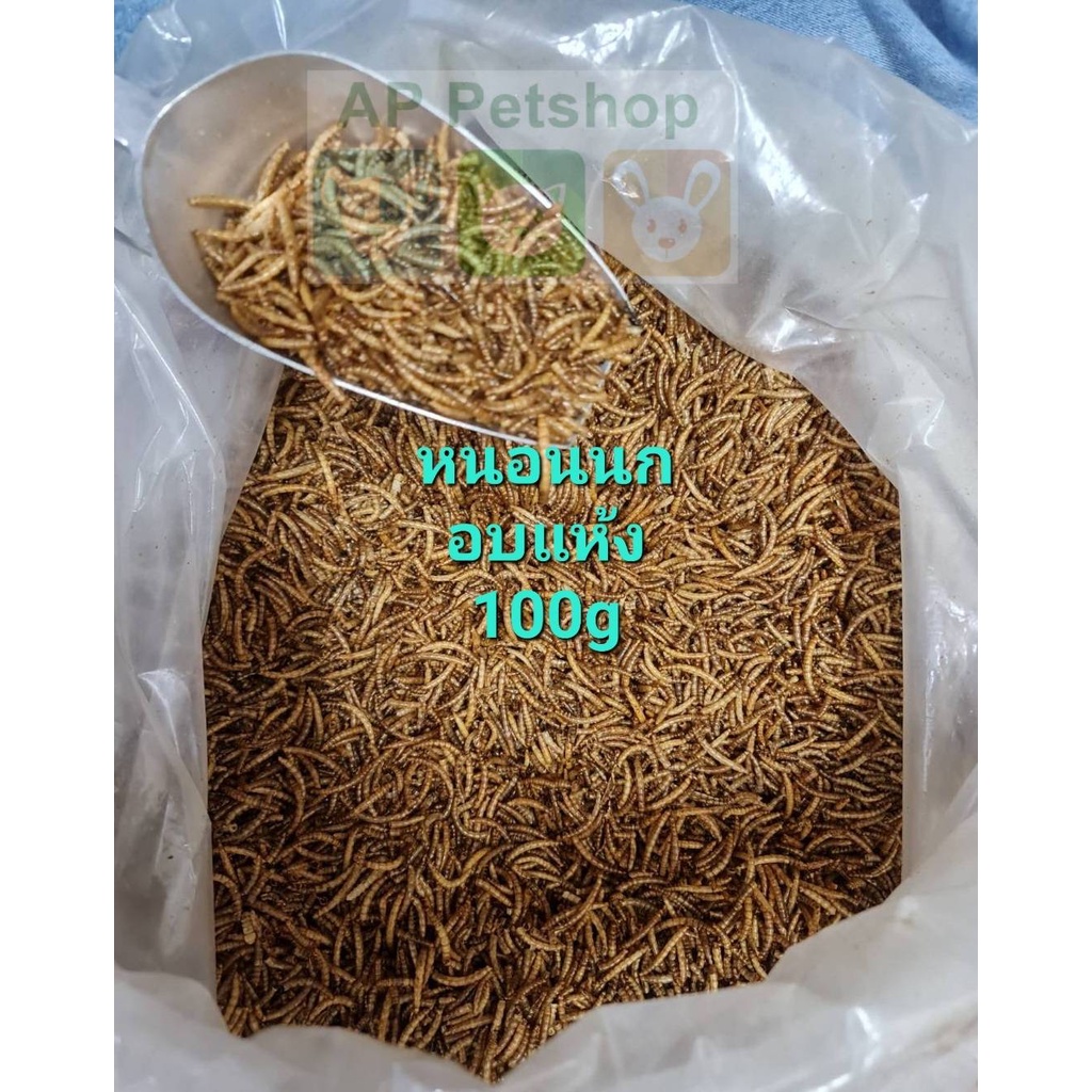 Dried Mealworms 100g. Bird Worms 100g. | Shopee Philippines