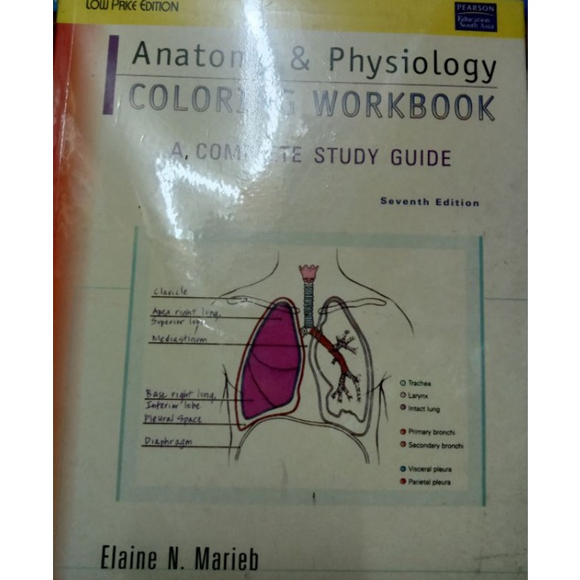 Anatomy And Physiology Coloring Book Sale Shopee Philippines