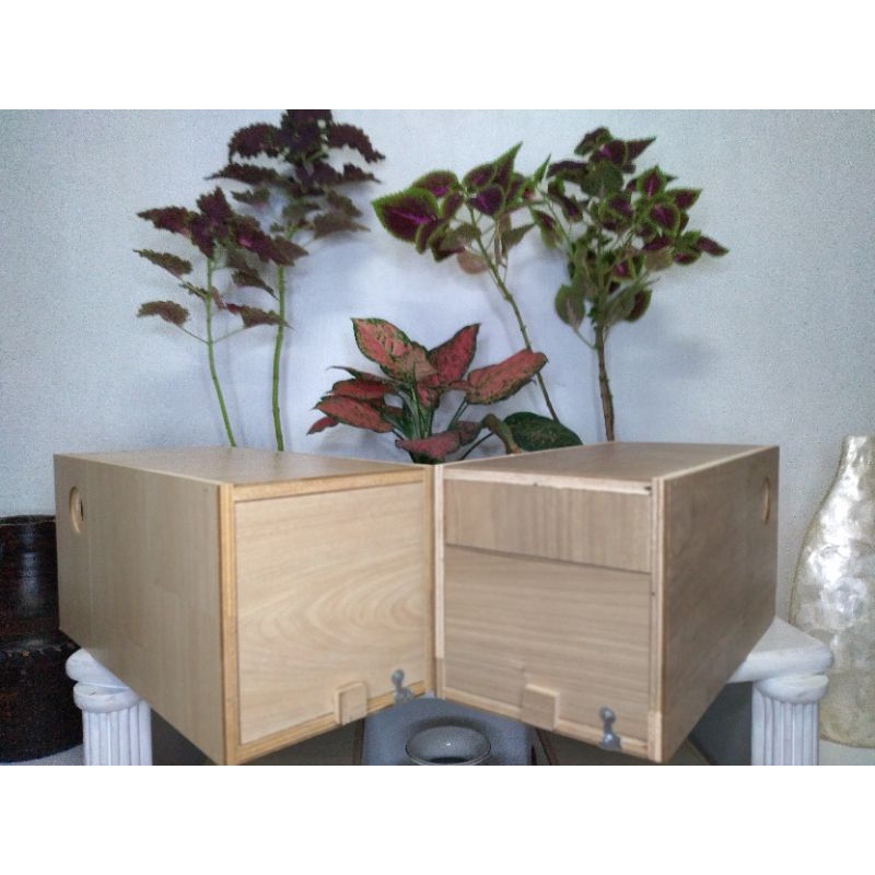 8x16 ACRYLIC DRAWER TPE AFRICAN LOVE BIRDS NEST BOX | Shopee Philippines