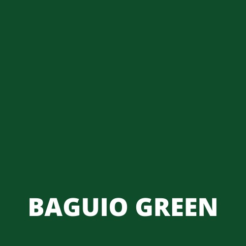 Boysen ROOFGUARD 4 Liters/1 Gallon [Baguio Green(B-2550), Spanish Red ...