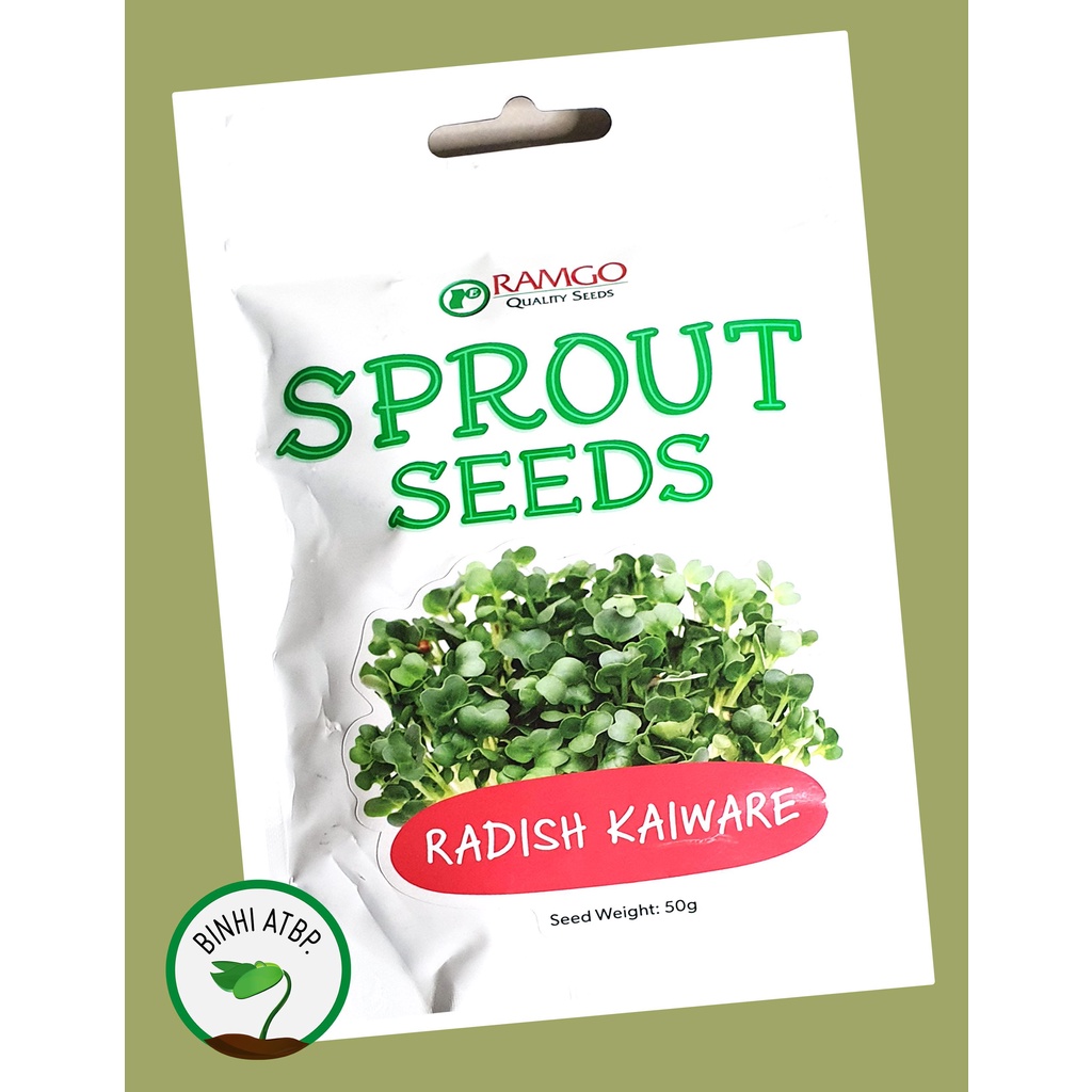 Ramgo Radish Kaiware Sprouting Microgreens Seeds | Shopee Philippines