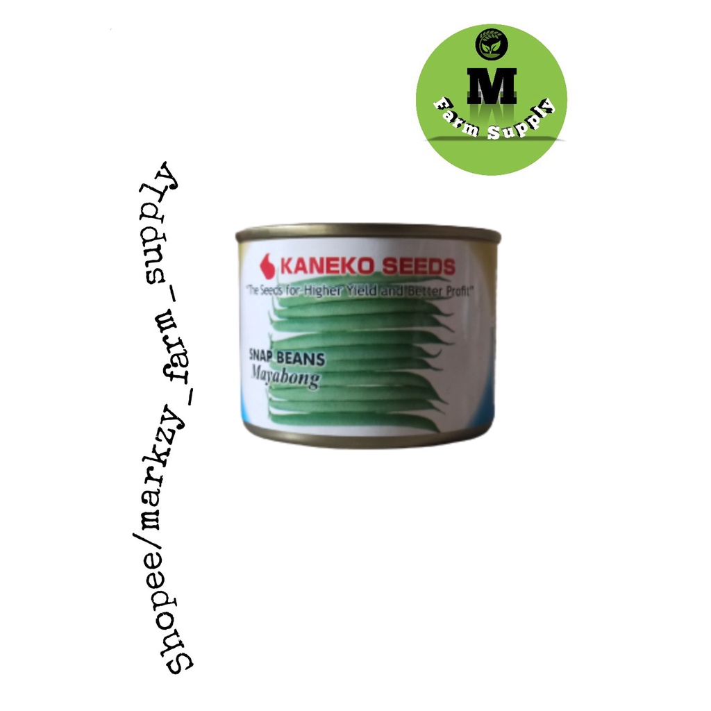 Kaneko Seeds Snapbeans mayabong / Baguio beans in 100 grams can ...