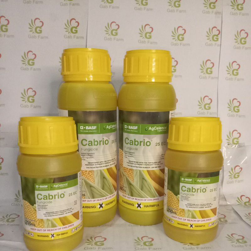 BASF Cabrio 25 EC (250 ml-500ml) | Shopee Philippines