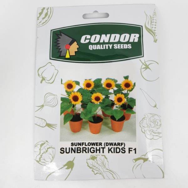 SUNBRIGHT KIDS F1 SUNFLOWER ( DWARF ) FLOWER SEEDS ( ORIGINAL GARDEN ...