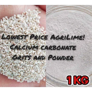 lime powder - Best Prices and Online Promos - Jul 2024 | Shopee Philippines