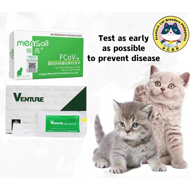 Feline Panleukopenia virus test and Feline Coronavirus Test Cat Check ...