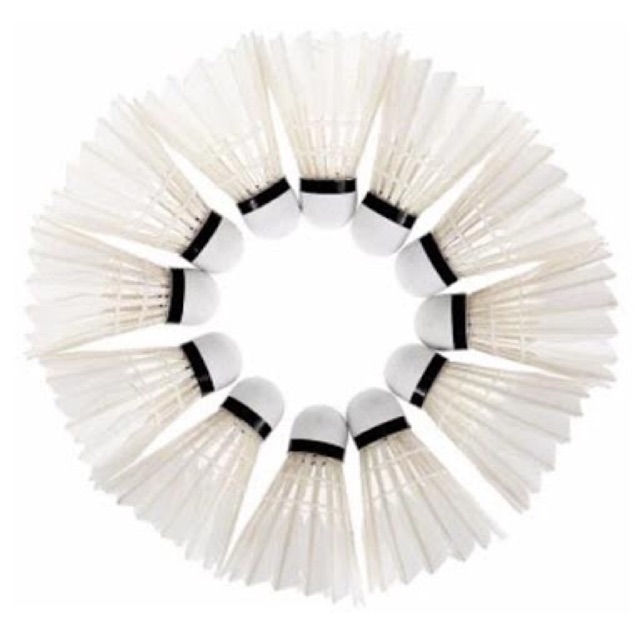 HeavyDuty Maxpro Max Pro shuttlecock badminton shuttle cock | Shopee ...