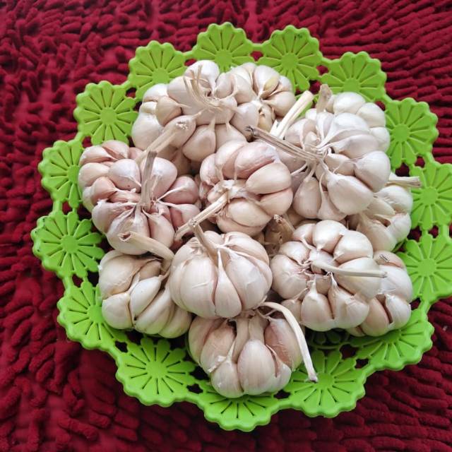 PUTIH Sincu garlic 1kg | Shopee Philippines
