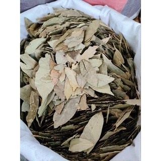 Shop dahon ng laurel for Sale on Shopee Philippines