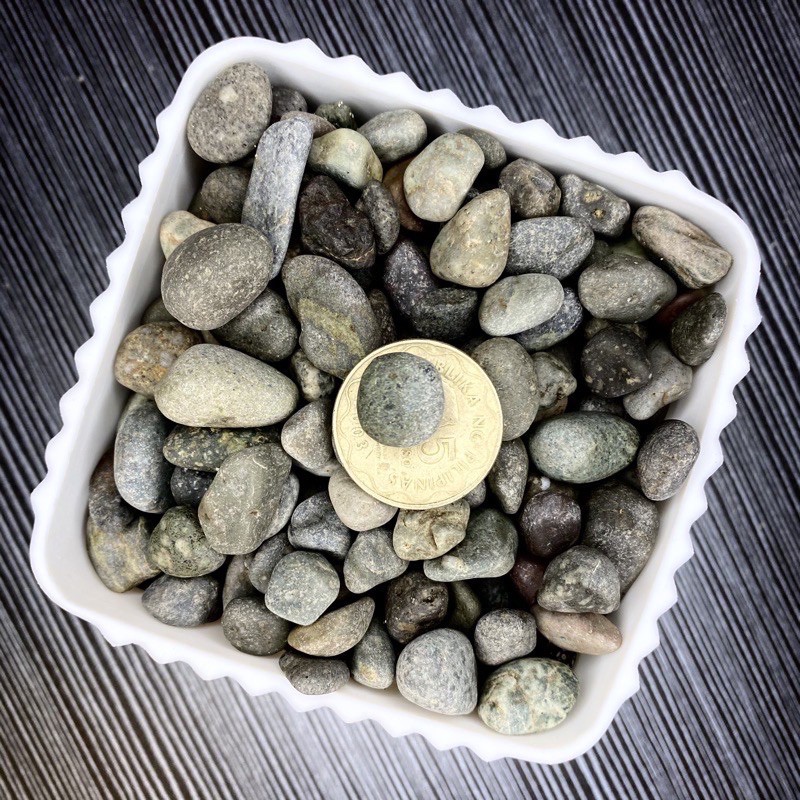 Pebbles Plants/Aquarium - Assorted, Black, Boracay, White Selected ...