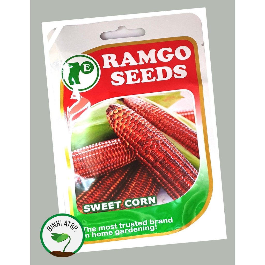 Ramgo Sweet Corn Ruby Queen F1 Seeds | Shopee Philippines