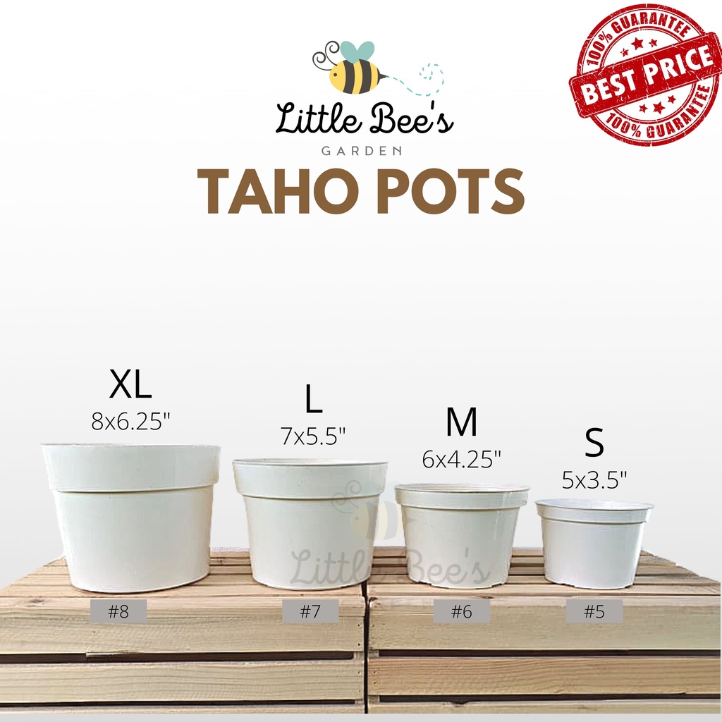 Taho Affordable Pots [Little Bee's Garden] | Shopee Philippines