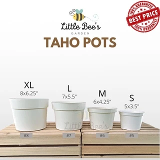 tahoos snacks - Best Prices and Online Promos - Aug 2025 | Shopee ...