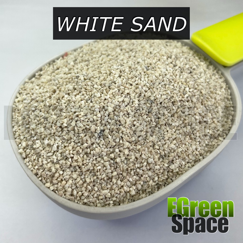 WHITE SAND - 1kilo (Sand Box, Aquarium, Decoration) | Shopee Philippines