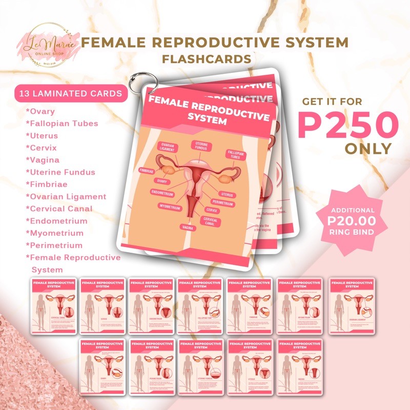 Le Marae Shop - Laminated Flashcards FEMALE REPRODUCTIVE SYSTEM ...
