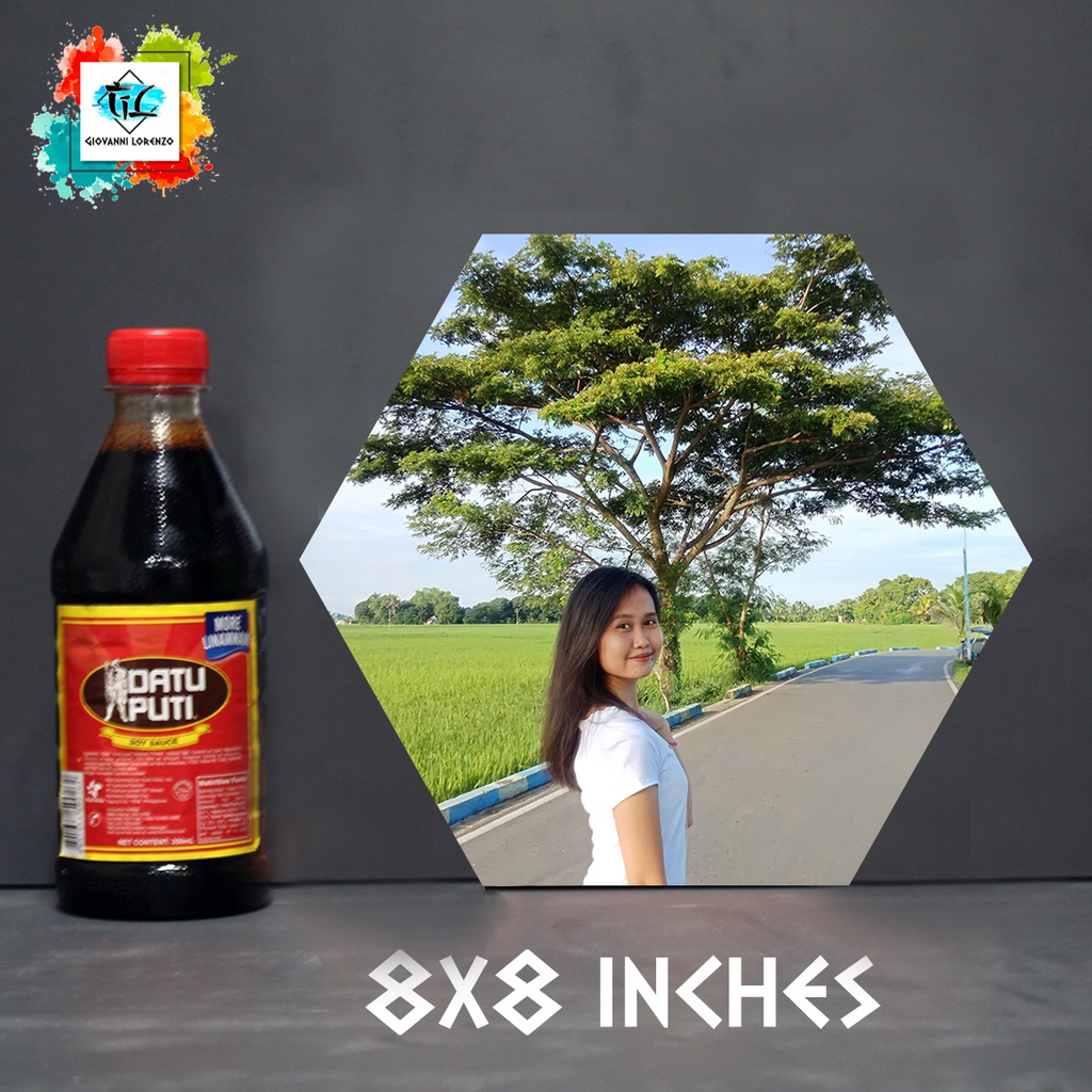 Personalized HEXAGON PHOTO TILE for Modern Wall Art Decor w/ Photo ...