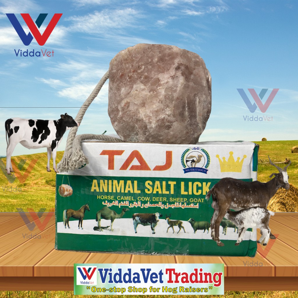Himalayan Mineral Block Pure Natural Salt Lick Kgto 1.5kg for Livestock ...