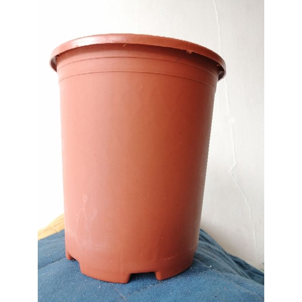 BLACK SLIM TALL POTS FOR PLANTS PLANTERS WHITE Green paso Para sa ...