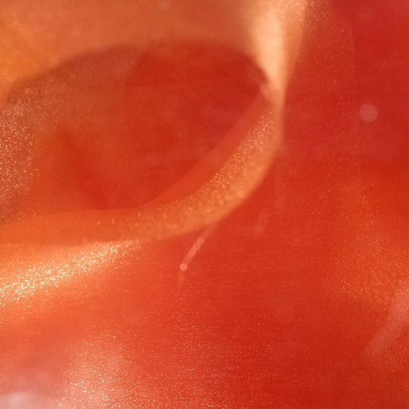 Crystalet Fish Cloth / Crystalit / Crystalline / Cristalit | Shopee ...