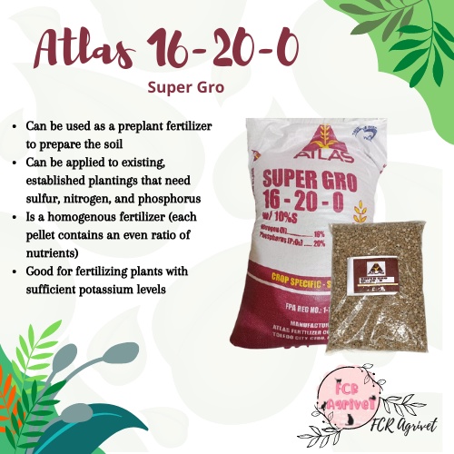 [FCR AGRIVET] 1kg Atlas Super Gro 16-20-0 Fertlizer / Pataba sa halaman ...