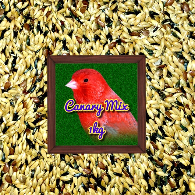 CANARY MIX seeds 1kg bag | Shopee Philippines