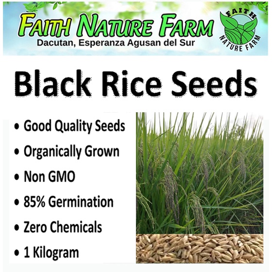Black Rice Seeds Organic 1kl | Shopee Philippines