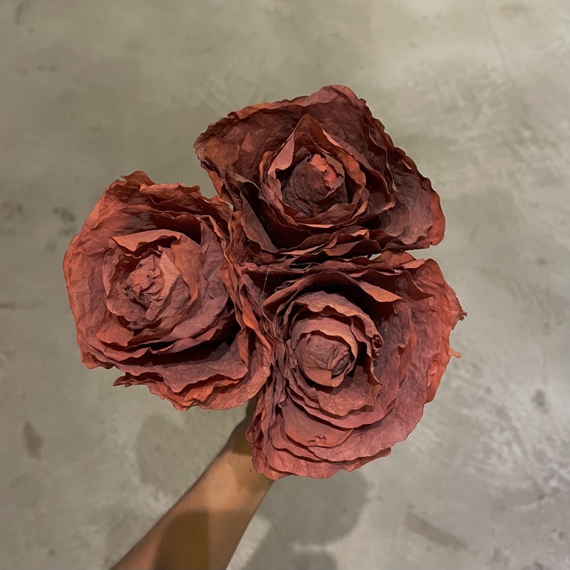 Fossilized/Dried Rose Flower (3 stems) | Shopee Philippines