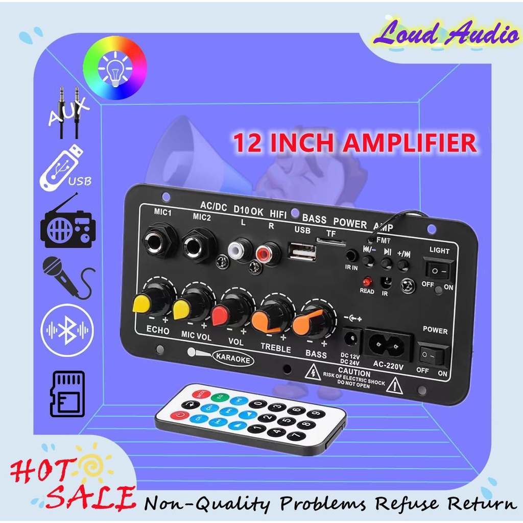 BT Amplifier AC220V 12V 24V Mono Subwoofer Amplificador Dual Microphone ...