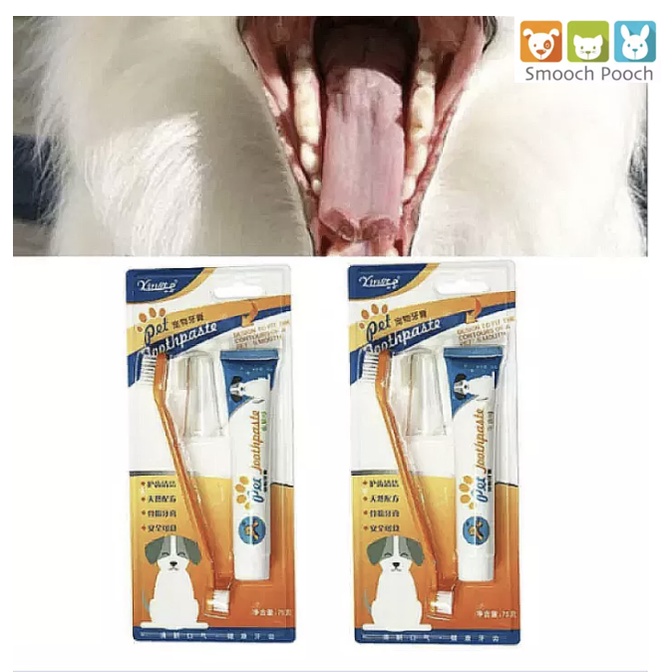 SP Pet Supplies Cat Dog Toothbrush and Flavored Toothpaste Mouth Oral ...
