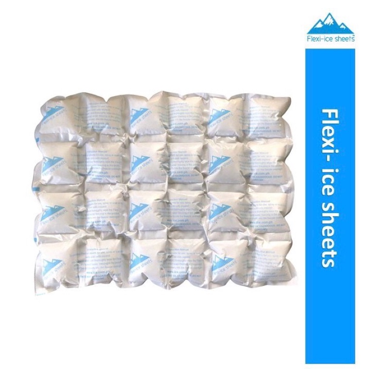 Flexi Ice 2 Ply 6 x 4 Ice Sheets Gel Ice Pack Standard Shopee Philippines