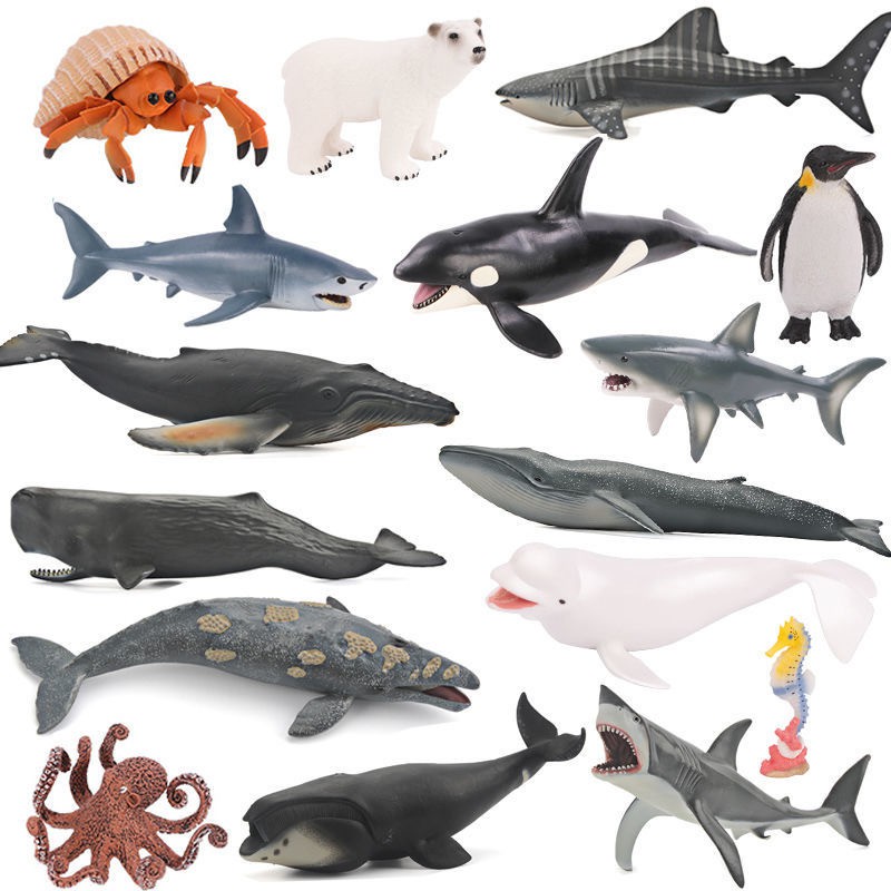 Simulation Solid Ocean Miniature Marine World Model Sea Life Animal ...