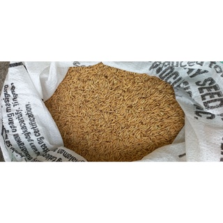 Palay/Binhi/Rice Seeds IRRI David DINORADO (20 kg) | Shopee Philippines