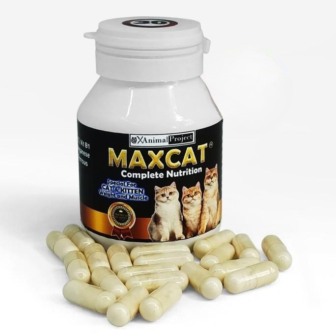 Maxcat - Vitamin Fattening And Enhancing Cat Appetite 30 Capsules ...