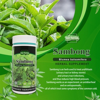 Sambong Herbal Supplement 100 Capsules/Bottle (Blumea Balsamifera ...