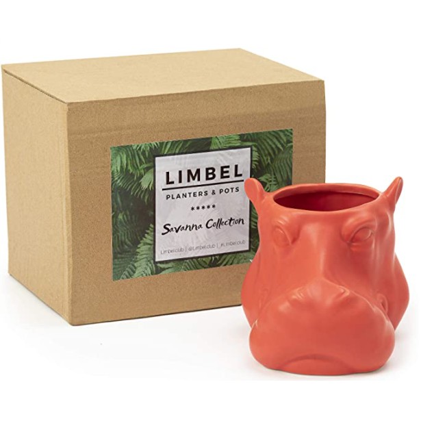 Limbel Handmade Planter Hippo Head Porcelain Pot (Item Code 325 ...