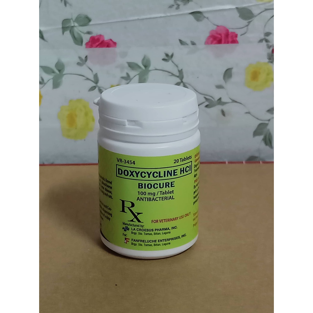 BIOCURE Doxycycline HCI 100mg/Tablet Antibacterial | Shopee Philippines