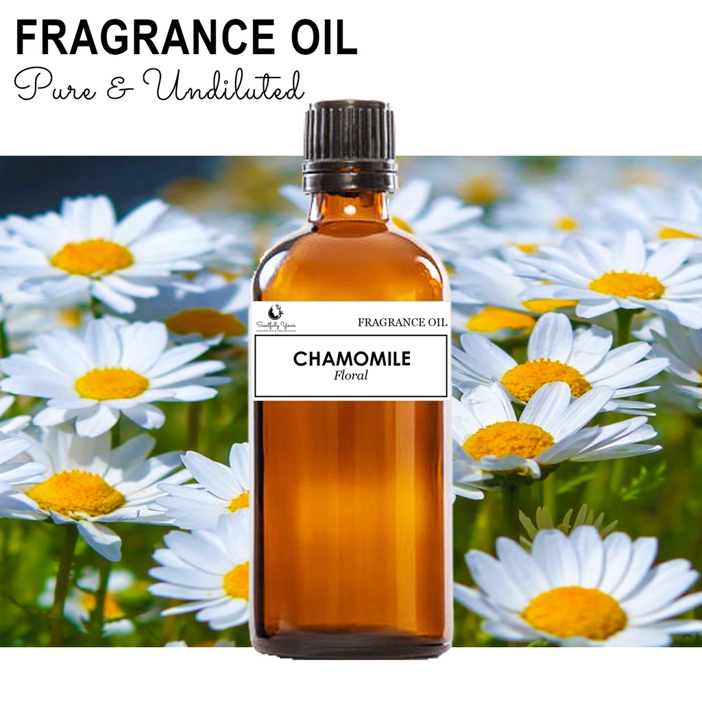 CHAMOMILE - Floral Fragrance Oil (50ml - 100ml) | Shopee Philippines