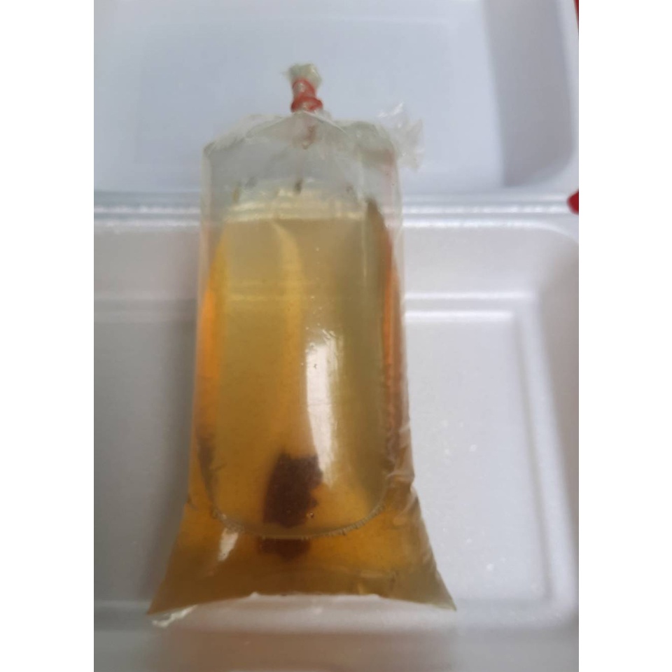 Red Mite Macropa Parent-Child Order 3 Bags For Free!!1 Bottle Of Green ...
