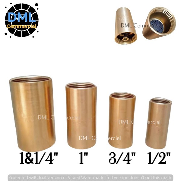 (DML-1209-1) 1 PC Clayton Mark or 2B Solid Brass Spring Check Valve (1/ ...