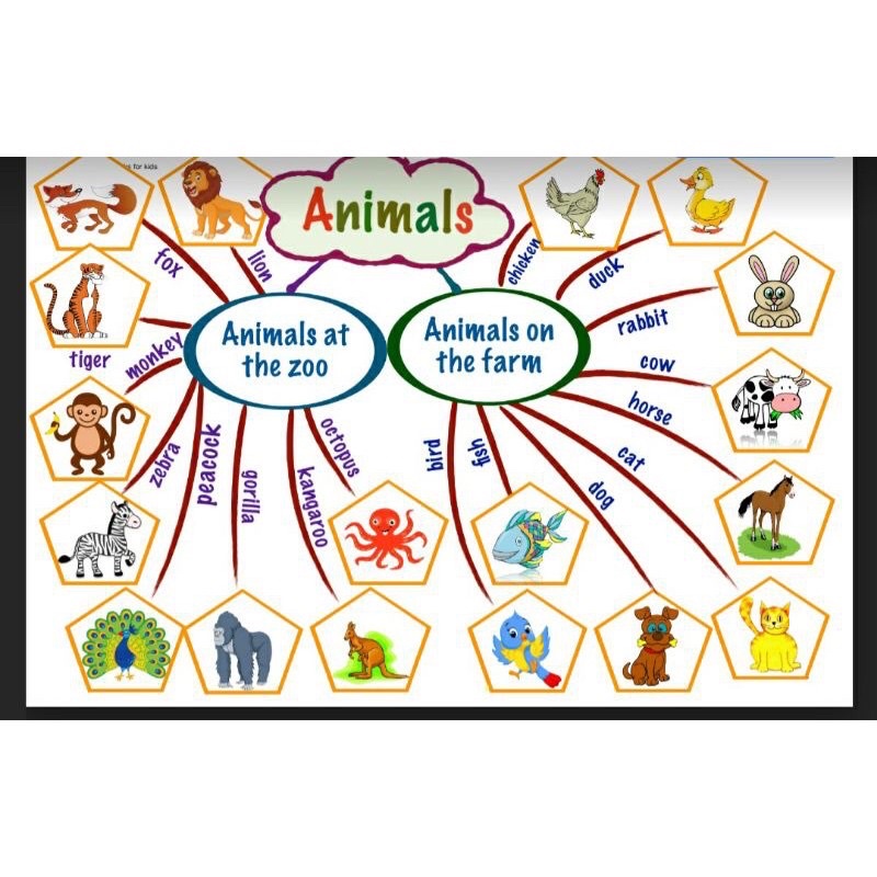 Minmap 30 Minor Map Pictures For Children To Learn | Shopee Philippines