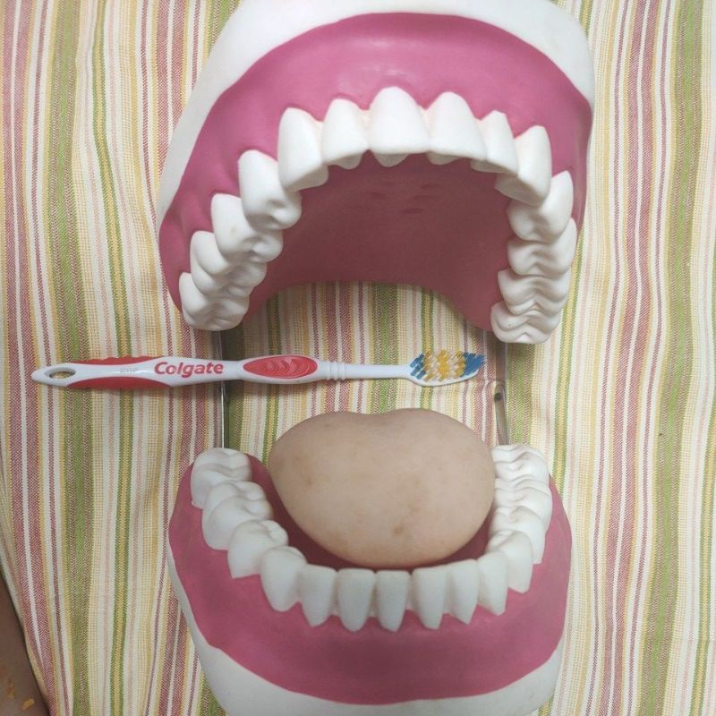 mouth dentist school large teeth doctor hospital gums toothpaste ...