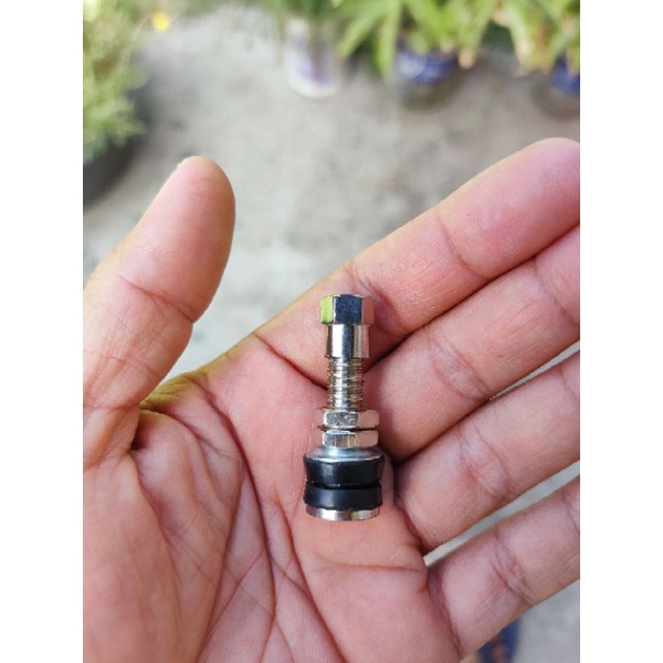 Tire Valve Stainless Heavy Duty (Stainless Pito) | Shopee Philippines