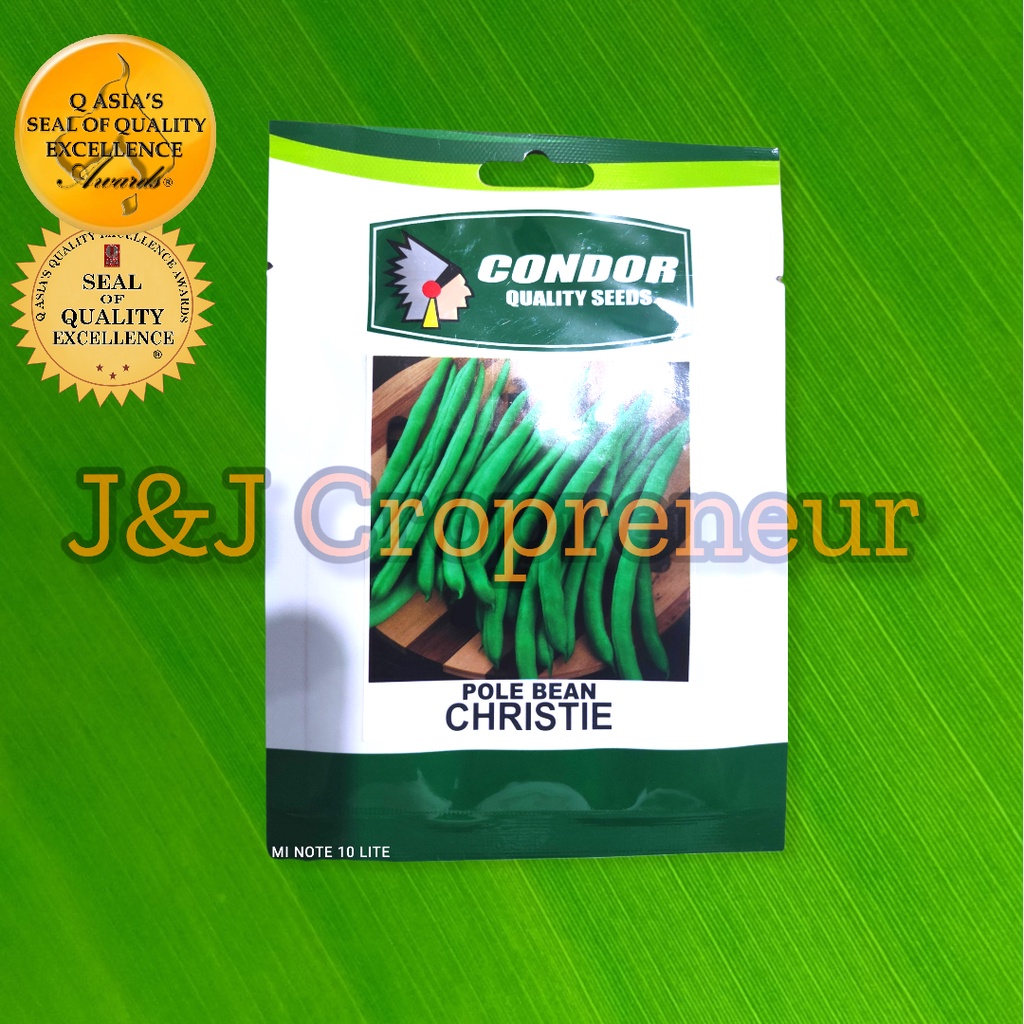 CHRISTIE OPV POLE BEAN SEEDS 19 GRAMS (CONDOR) | Shopee Philippines