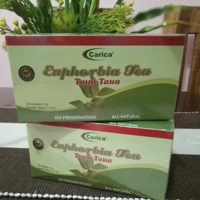Carica Euphorbia Tea (Tawa Tawa Tea )30s | Shopee Philippines