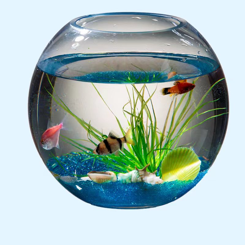 Round Sphere Vase Transparent Glass Fish Tank #10cm | Shopee Philippines